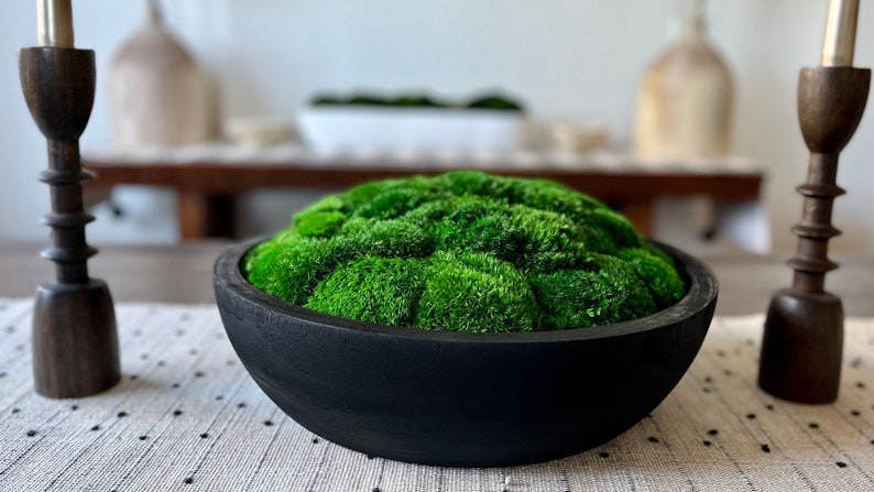 X-tra Large Moss Centerpiece for Table Moss Bowl Arrangement for Coffee ...