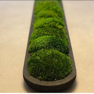 Long Moss Centerpiece for Table Moss Decoration Moss Bowl Arrangement ...