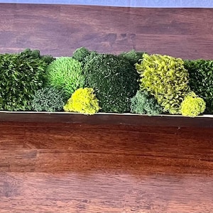 Handcrafted Preserved Moss Art in Metal Trough for Dining Table Nature ...