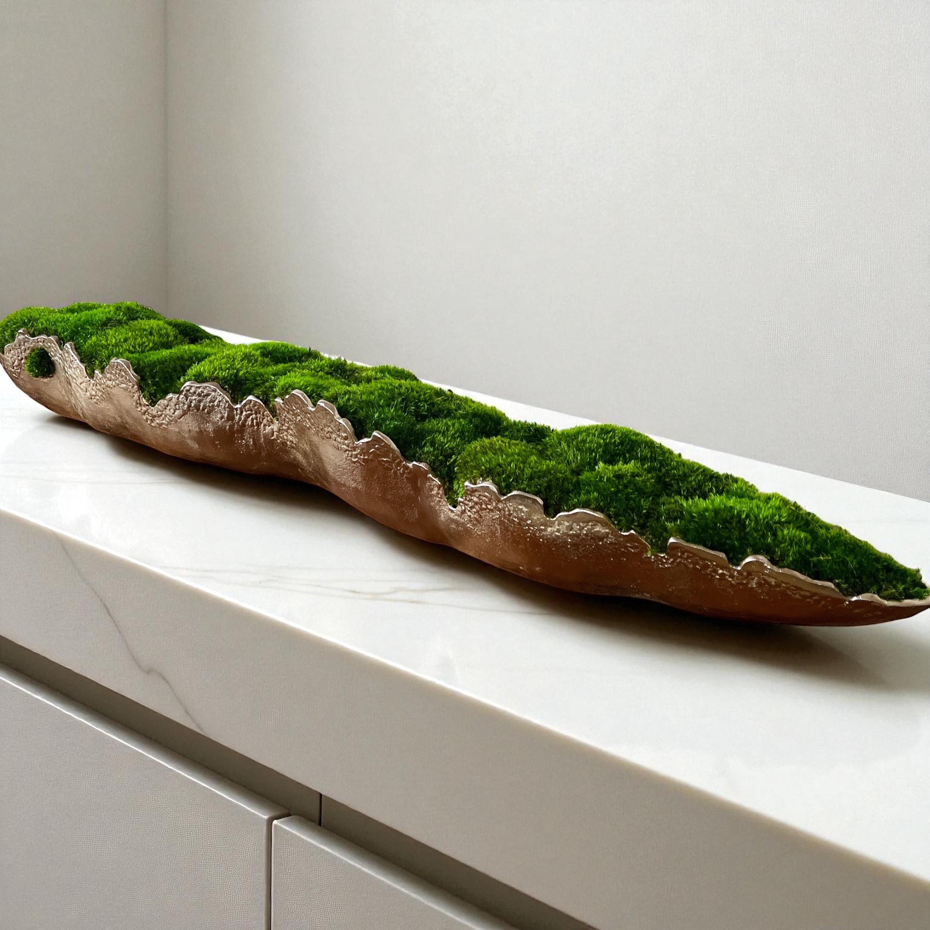 Preserved Moss Centerpiece Table Decoration Metal Vessel Gold Accent ...