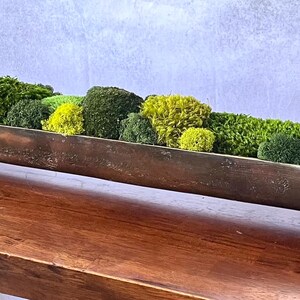 Handcrafted Preserved Moss Art in Metal Trough for Dining Table Nature ...