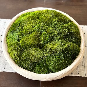 Extra Large Round Moss Bowl for Table Top Rustic Decor Preseved Moss ...
