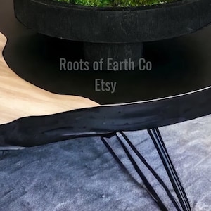 Preserved Moss Centerpiece Coffee Table Decor Modern Home Decor Black ...