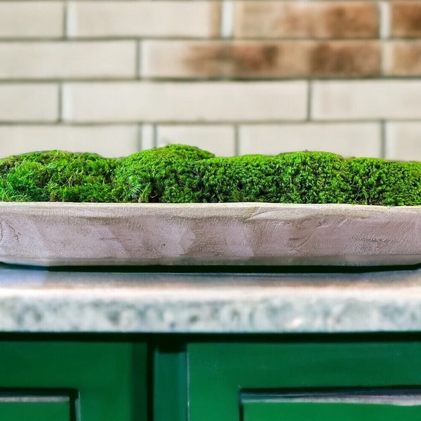 Moss Table Decor - Etsy