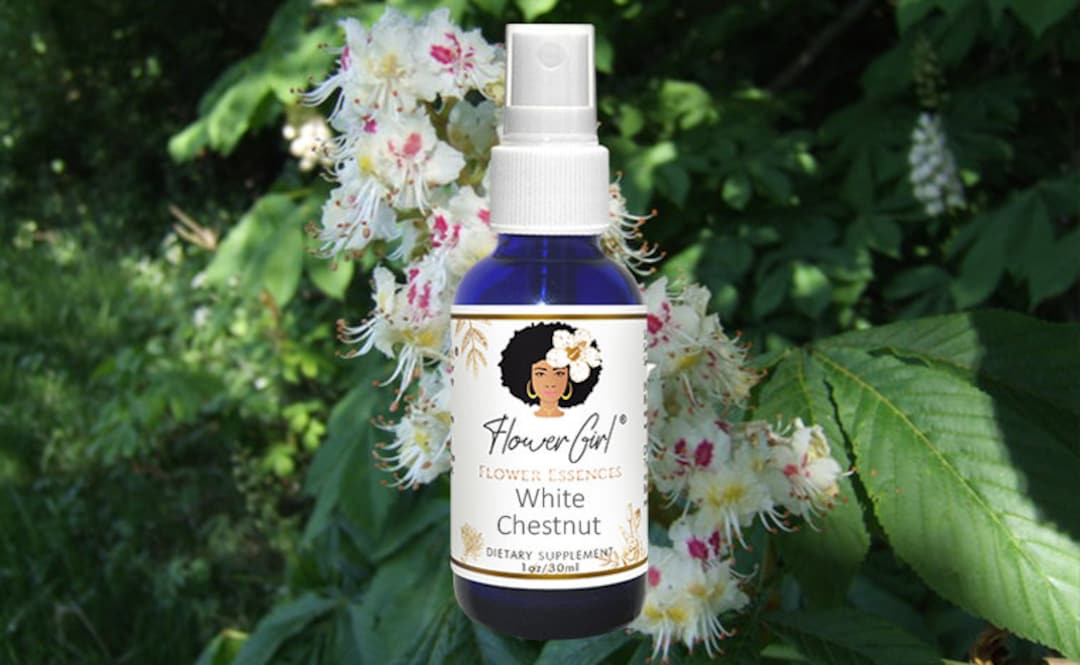 CHATTERING MIND -- White Chestnut Flower Essence - Etsy