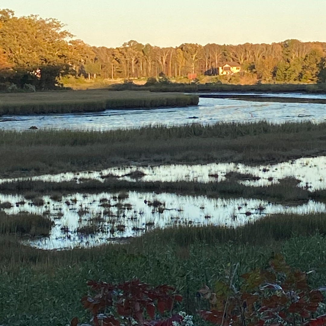 Salt Marsh, Wetlands, Stonington,connecticut - Etsy