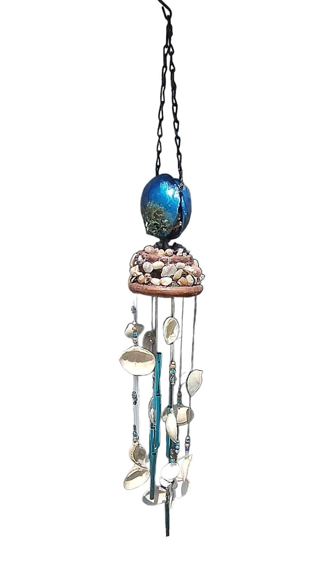 Sea Shell Wind Chimes Blue Clam Sea Shells - Etsy Australia
