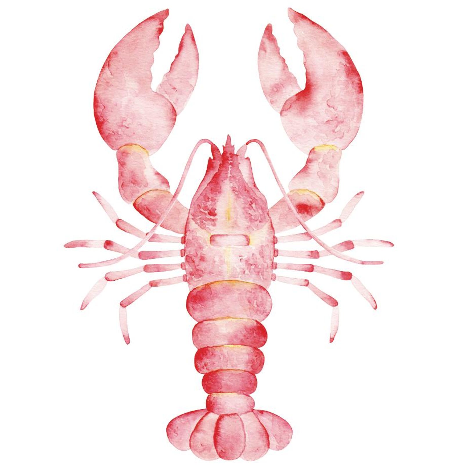Crustacean Season- Door Hanger (wreath, Door Art, Yard Art, Crawfish ...