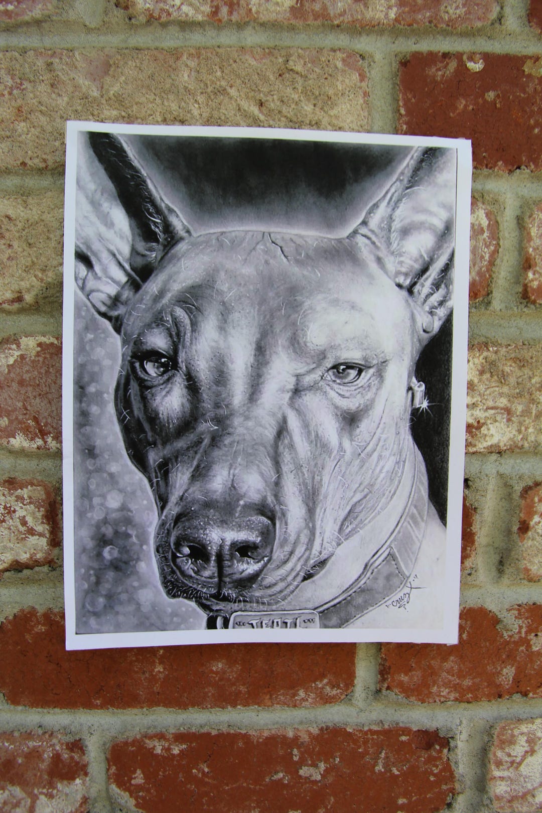 Xolo Art Print, Mexican Art, Chicano Art, Mexican Decor, Latinx Art ...