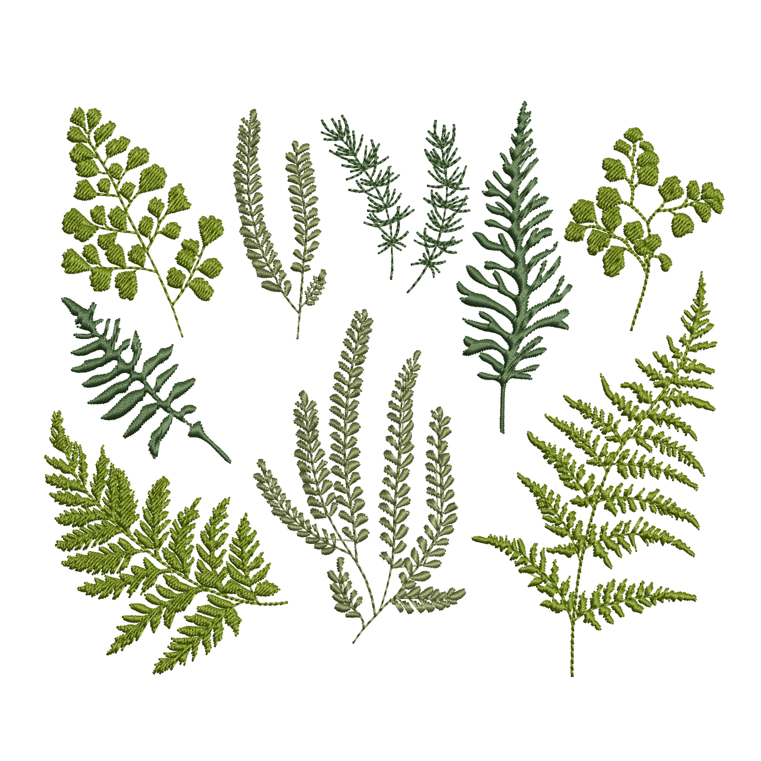 Forest Green Fern Branches Machine Embroidery Design Bundle - Etsy