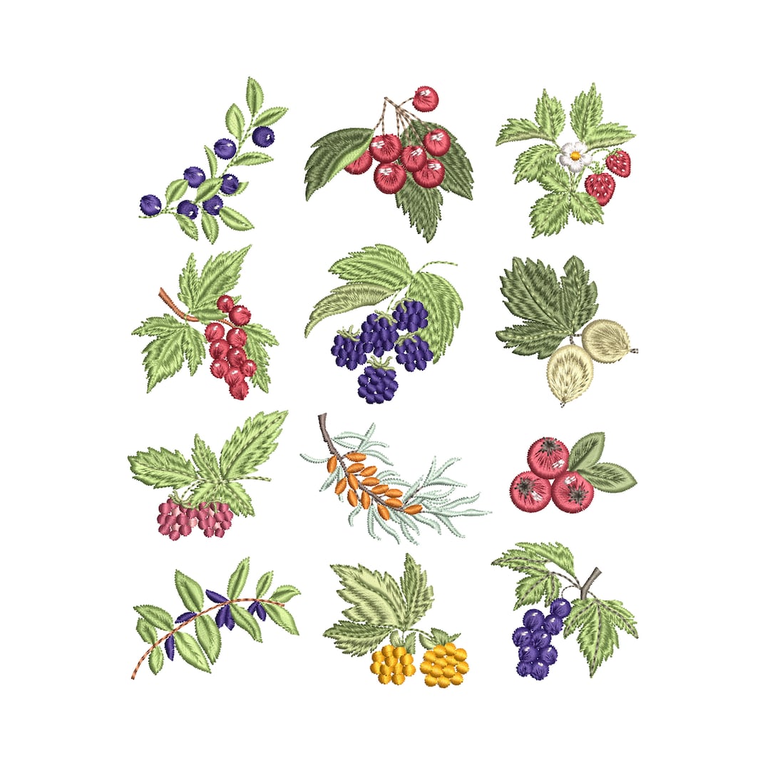 12 Berries Machine Embroidery Design Bundle, Berry Blueberry Raspberry ...