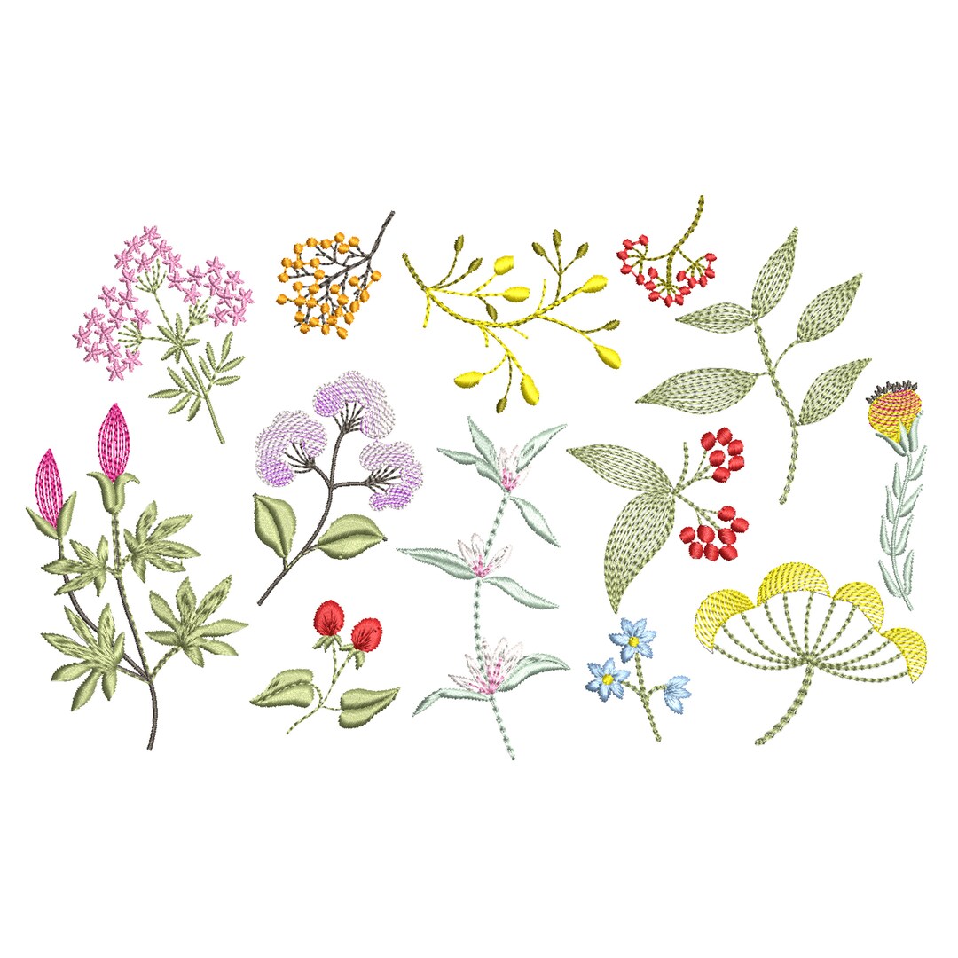 12 Elegant Botanicals Machine Embroidery Design Bundle, Flower Floral ...