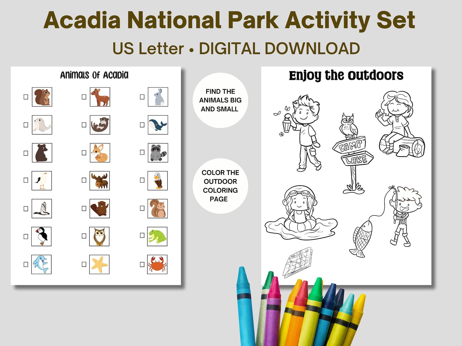 Acadia National Park Activity Set, Printable Kids Activities for Acadia ...