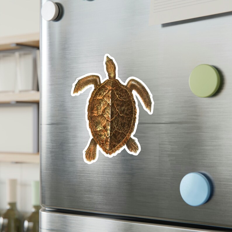 Hawksbill Sea Turtle Sticker - Waterproof, Scratch and UV Resistant ...
