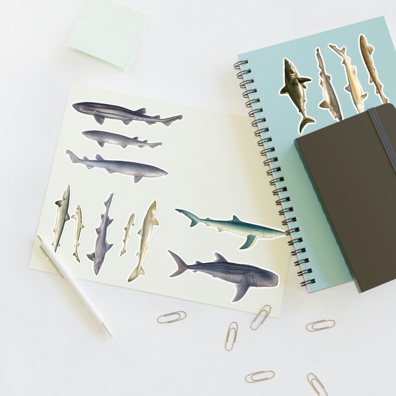 Shark Sticker Sheet, 12 Individual-waterproof, Scratch and UV Resistant ...