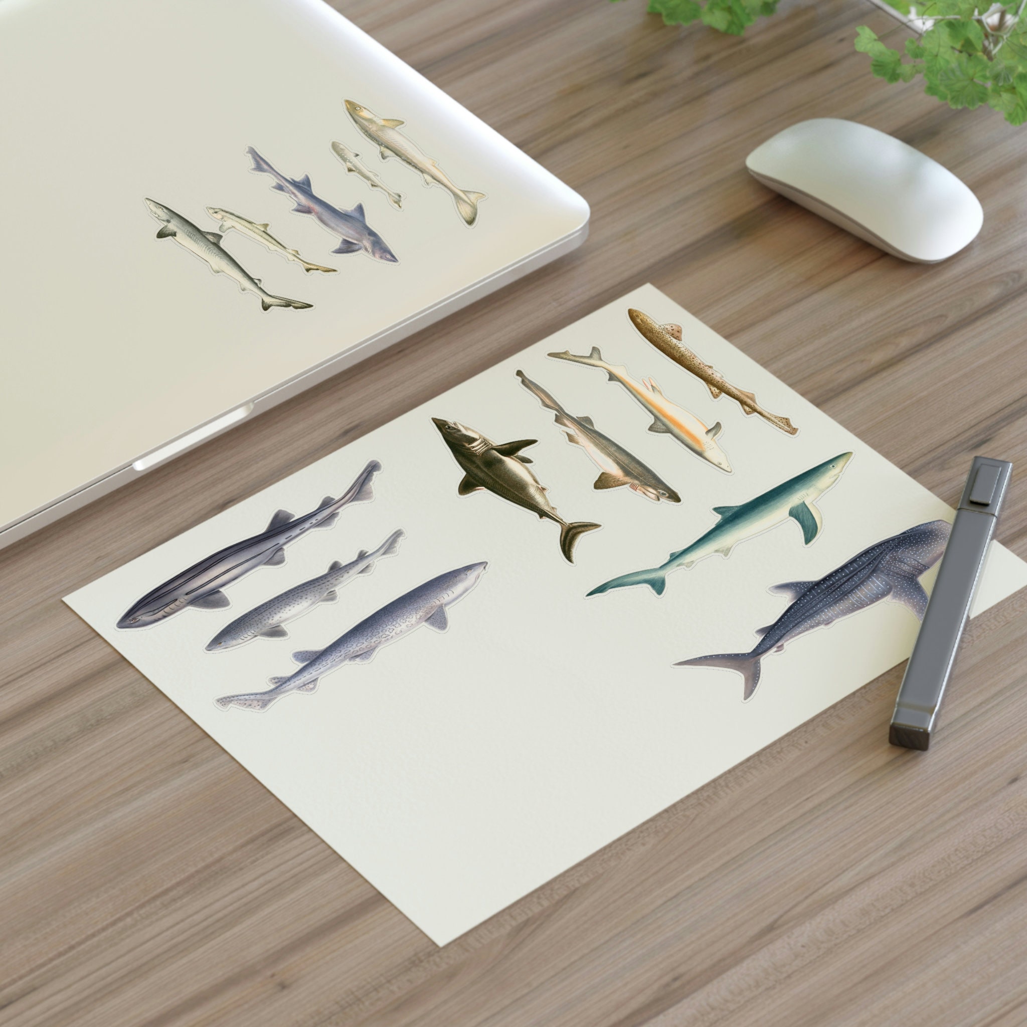 Shark Sticker Sheet, 12 Individual-waterproof, Scratch and UV Resistant ...