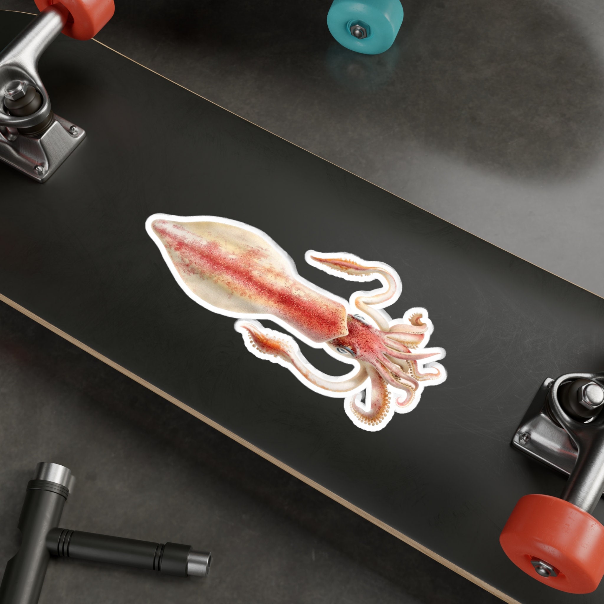 Realistic Vinyl Squid Sticker-kiss-cut, Suitable for Both Indoor and ...