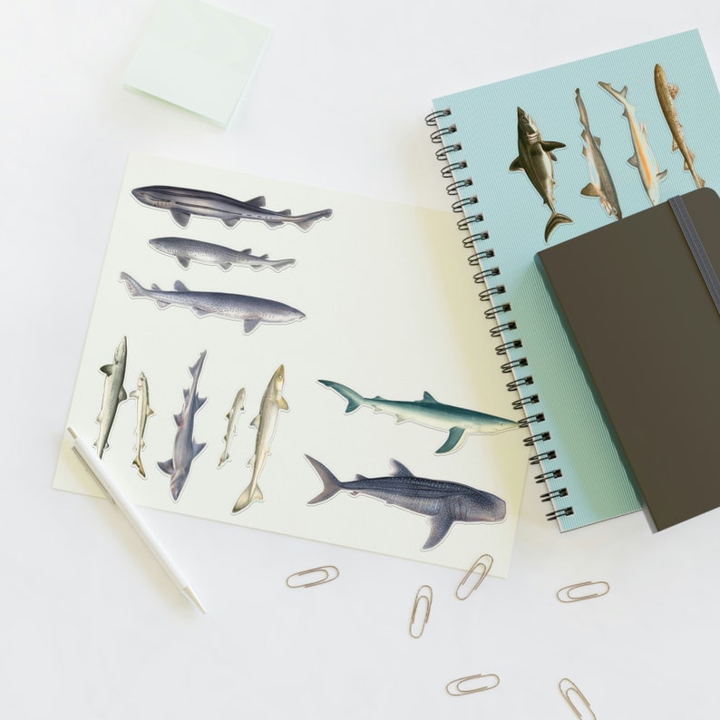Shark Sticker Sheet, 12 Individual-waterproof, Scratch and UV Resistant ...