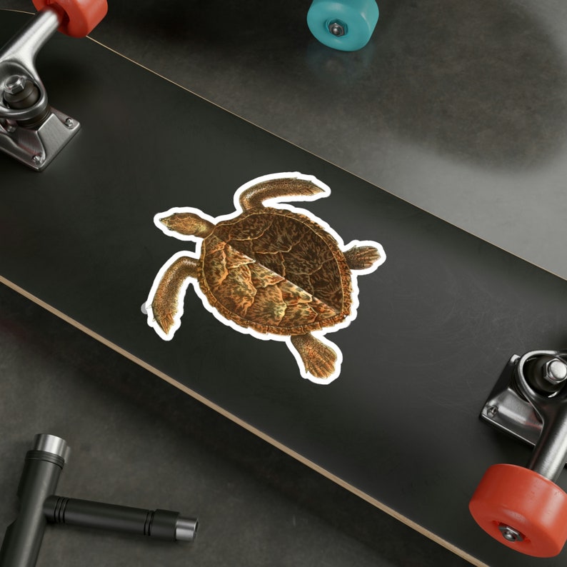 Hawksbill Sea Turtle Sticker - Waterproof, Scratch and UV Resistant ...