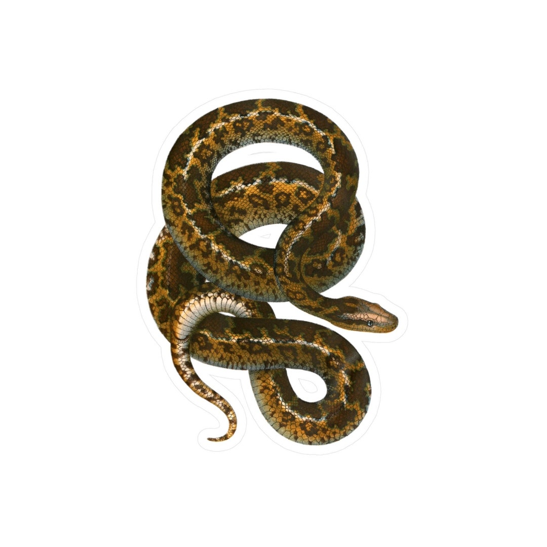 Atrophis Tigris Snake Vinyl Sticker-waterproof, Scratch and UV ...