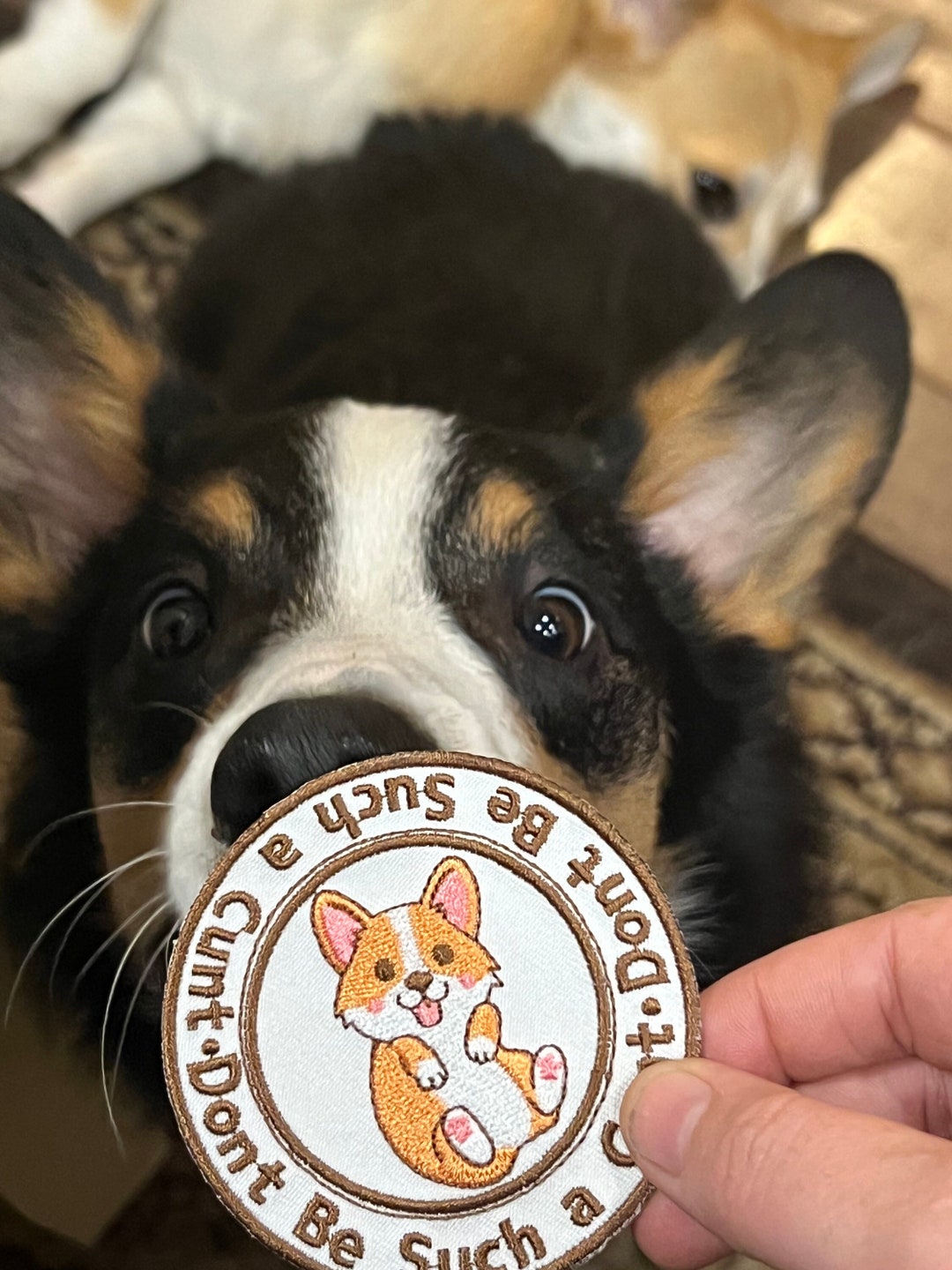 Crude Corgi Patch | Iron-on | 3 Inches | Embroidered Animal Patch | Adult Novelty Gift | Corgi ...