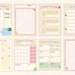 2023 Cute Pastel Digital Planner Bundle | Daily Planner, Weekly Planner ...