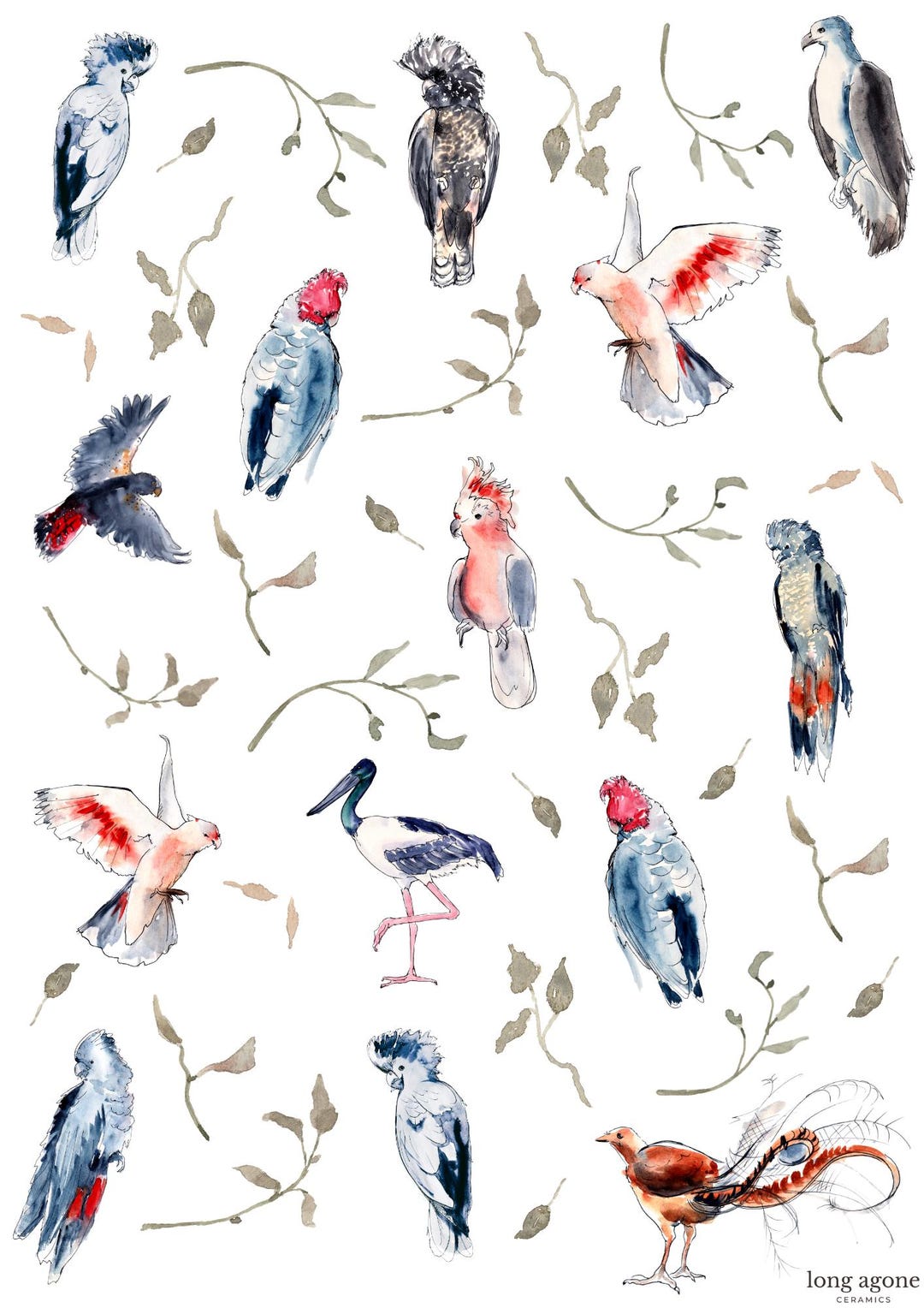 Australian Native Bird Overglaze Decal Sheet for Ceramic and Pottery - Etsy