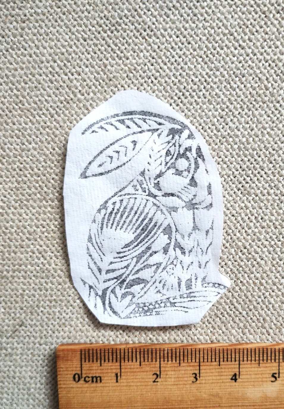 Medium Animals/amphibian Series Black Underglaze Transfer/decal for ...