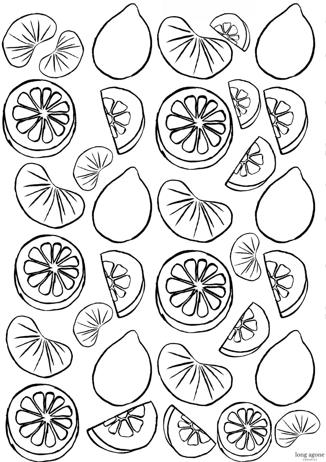 Citrus Overglaze Decal Sheet for Ceramic and Pottery - Etsy