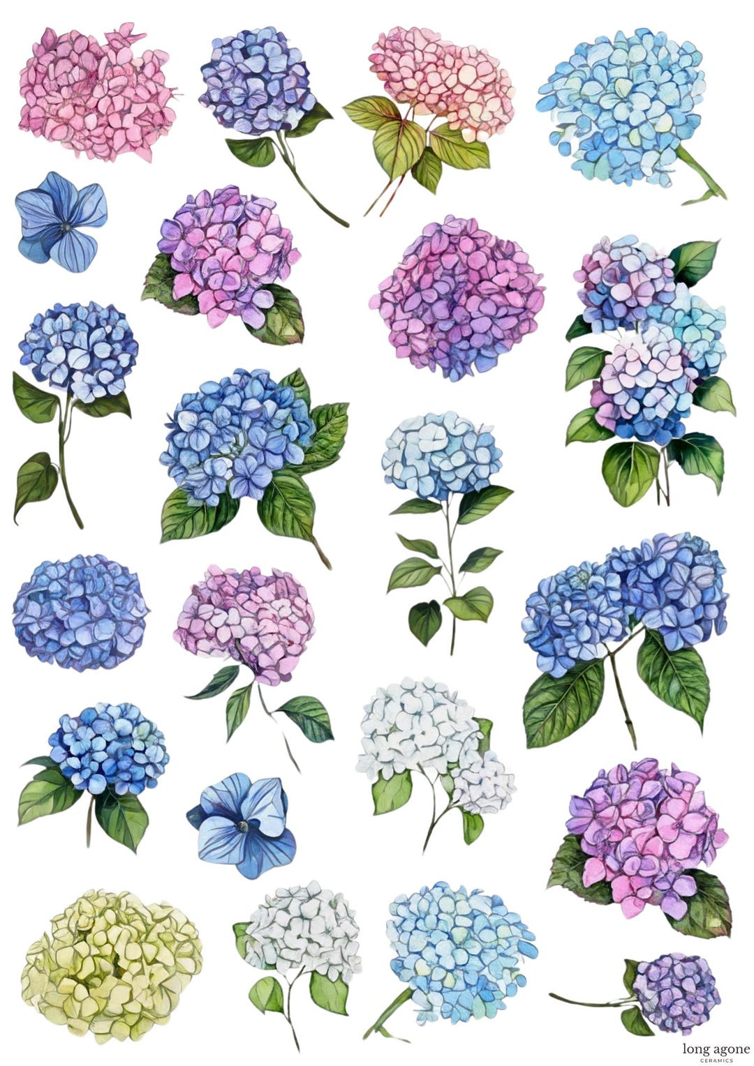 Hydrangea Overglaze Decal Sheet for Ceramic and Pottery - Etsy