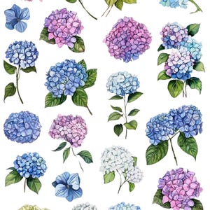 Hydrangea Overglaze Decal Sheet for Ceramic and Pottery - Etsy