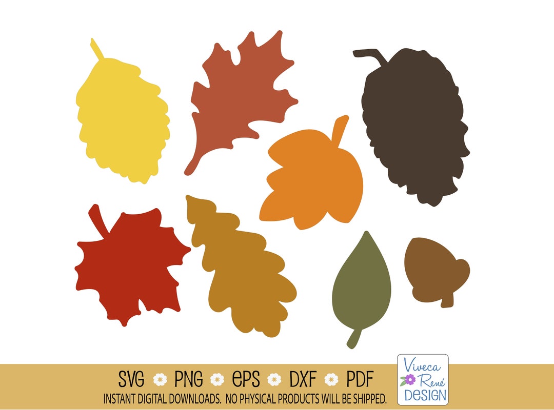 Fall Leaf Silhouettes SVG: Autumn Foliage, Pinecone, Acorn (digital ...