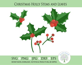 Christmas Holly SVG, PNG - Etsy