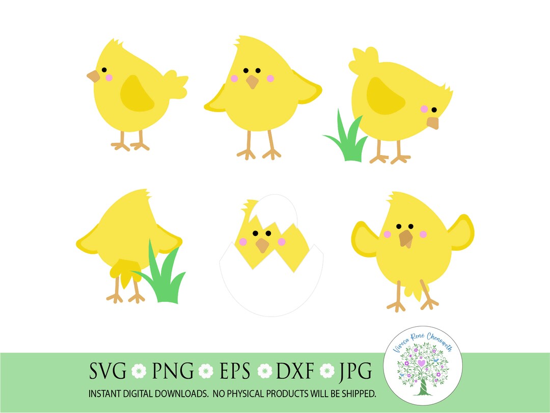 Baby Chicks Svg, Easter Chicks Svg, Cute Chicks Set Svg, Baby Chickens ...