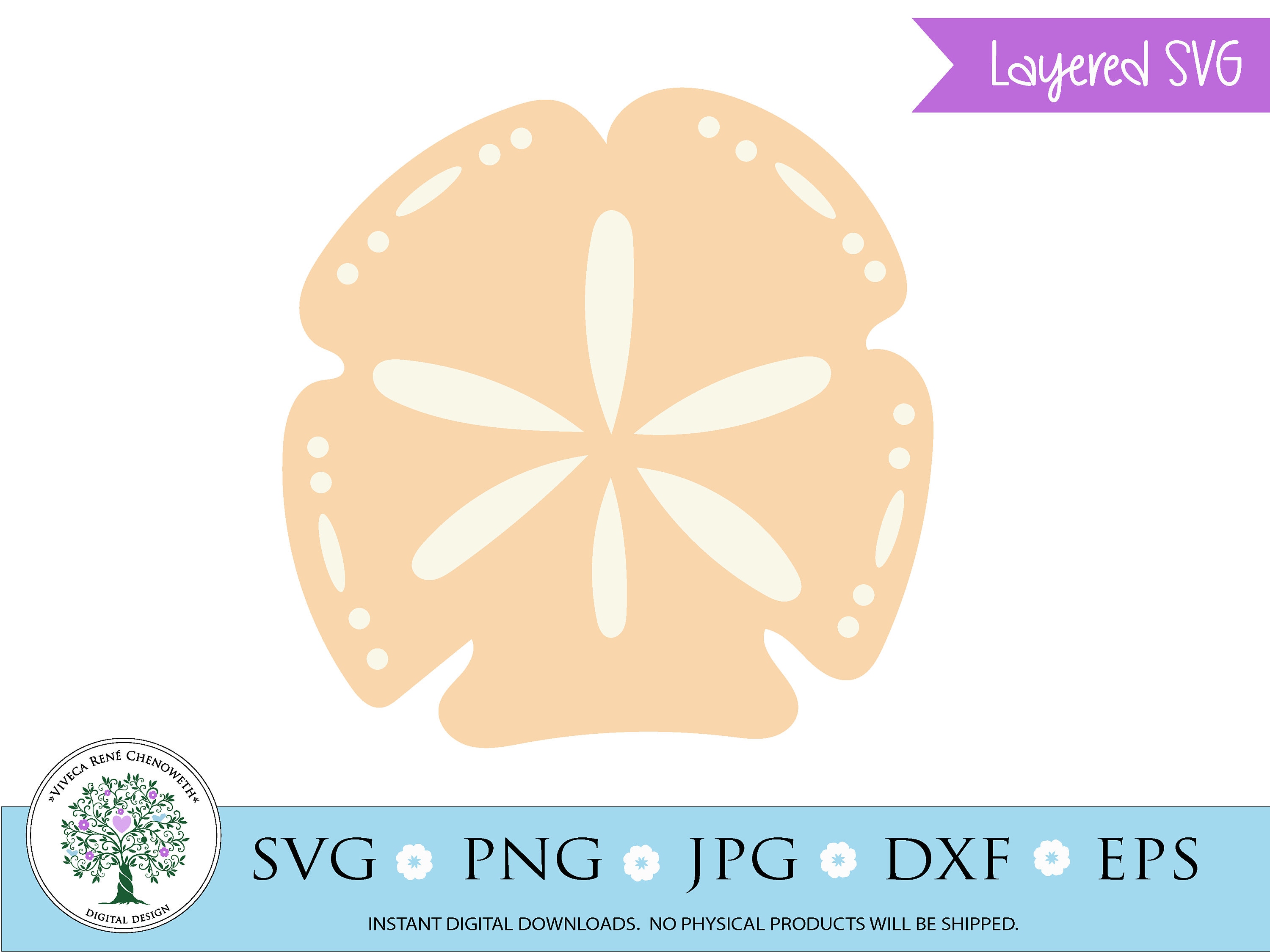 Sand Dollar Svg Ocean Svg Beach Svg Summer Svg Tropical - Etsy
