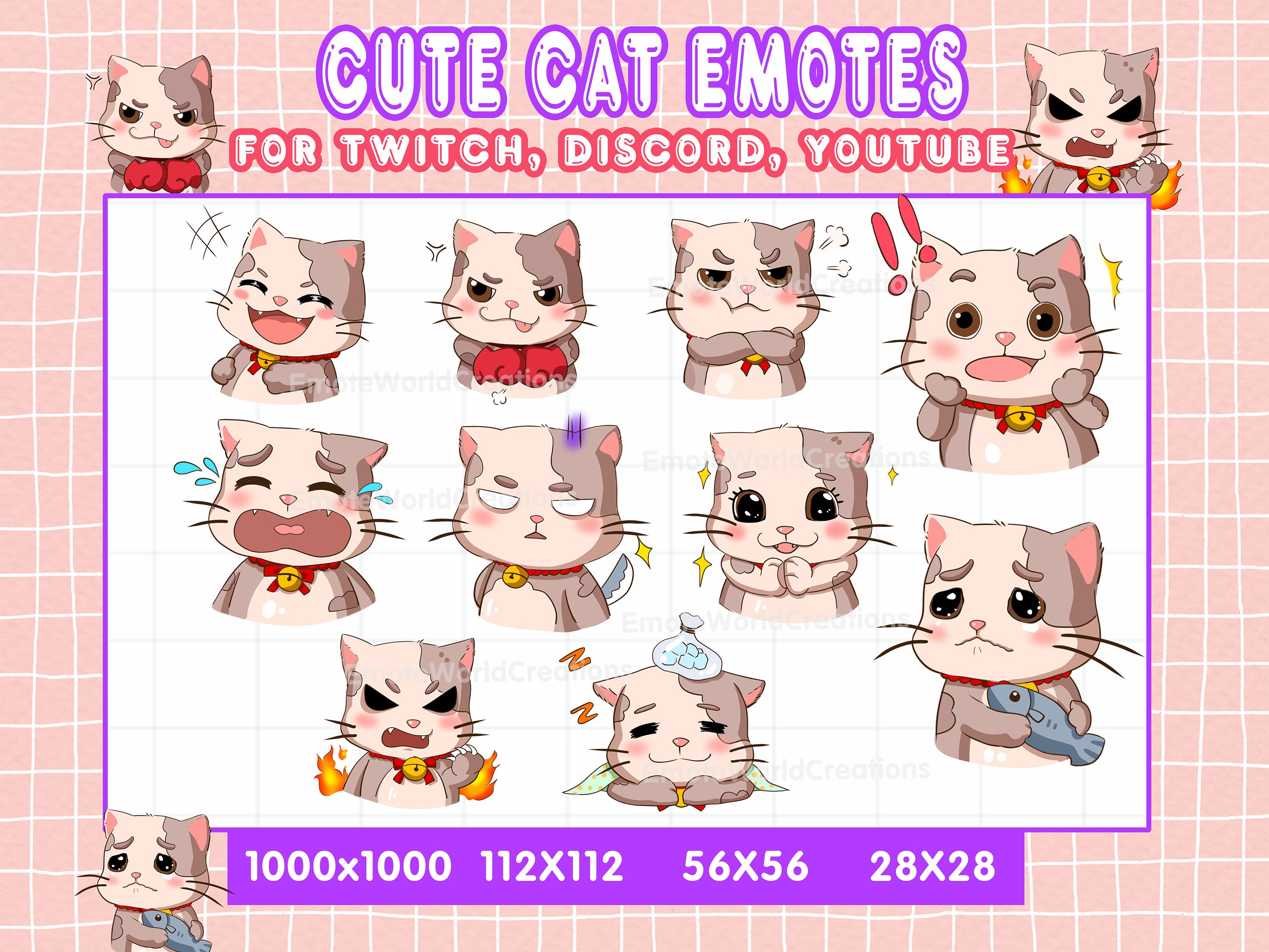 Cute Cat Emoticon