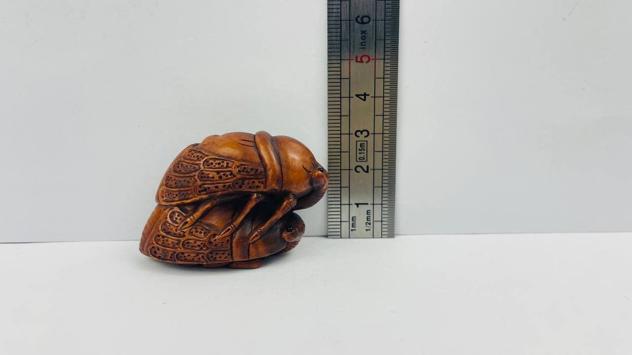 Asian Netsuke Handmade Insects - Etsy
