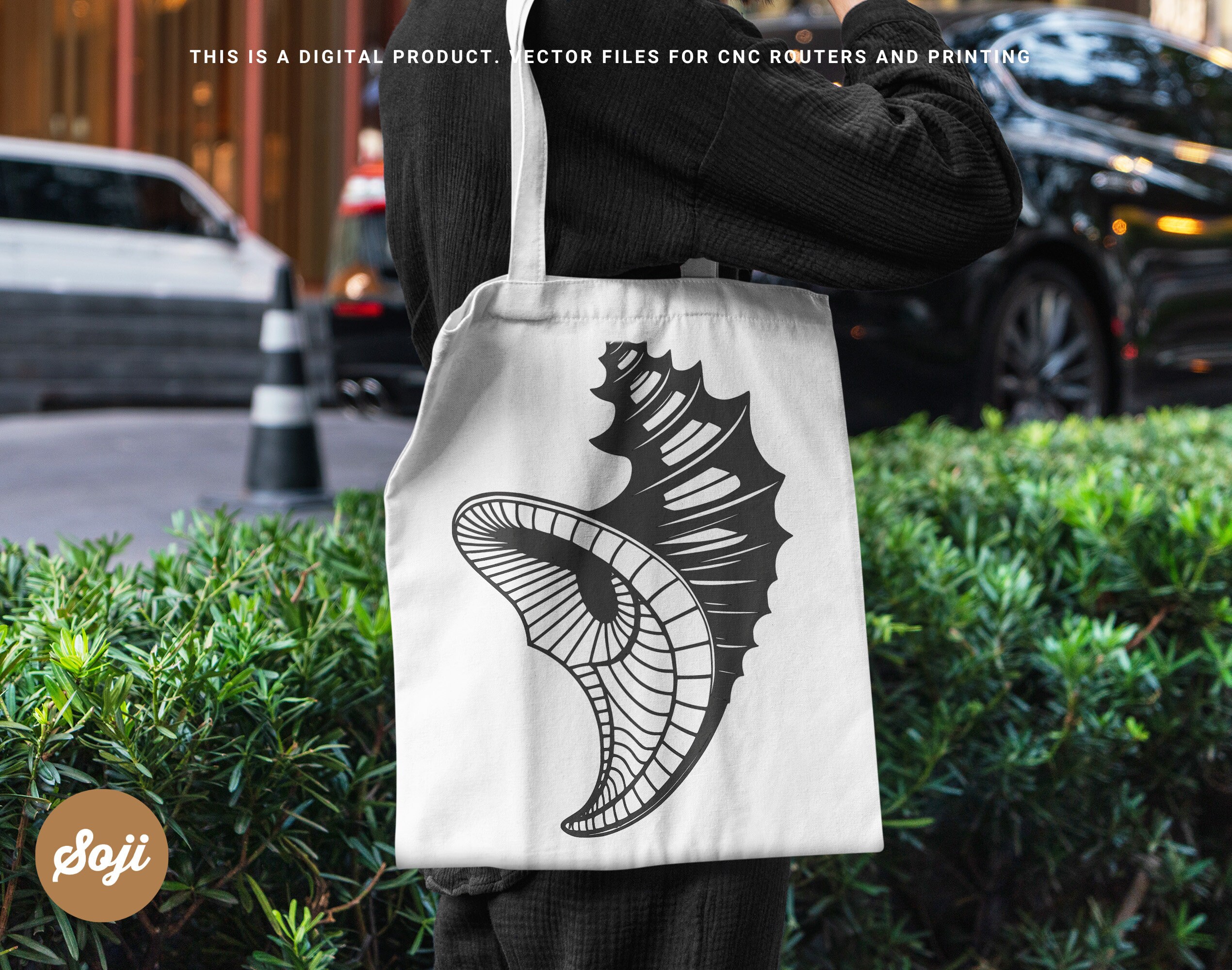 Sea Shell Svg Laser Cut Files Dxf File for Plasma Sea Shells Cricut Svg ...