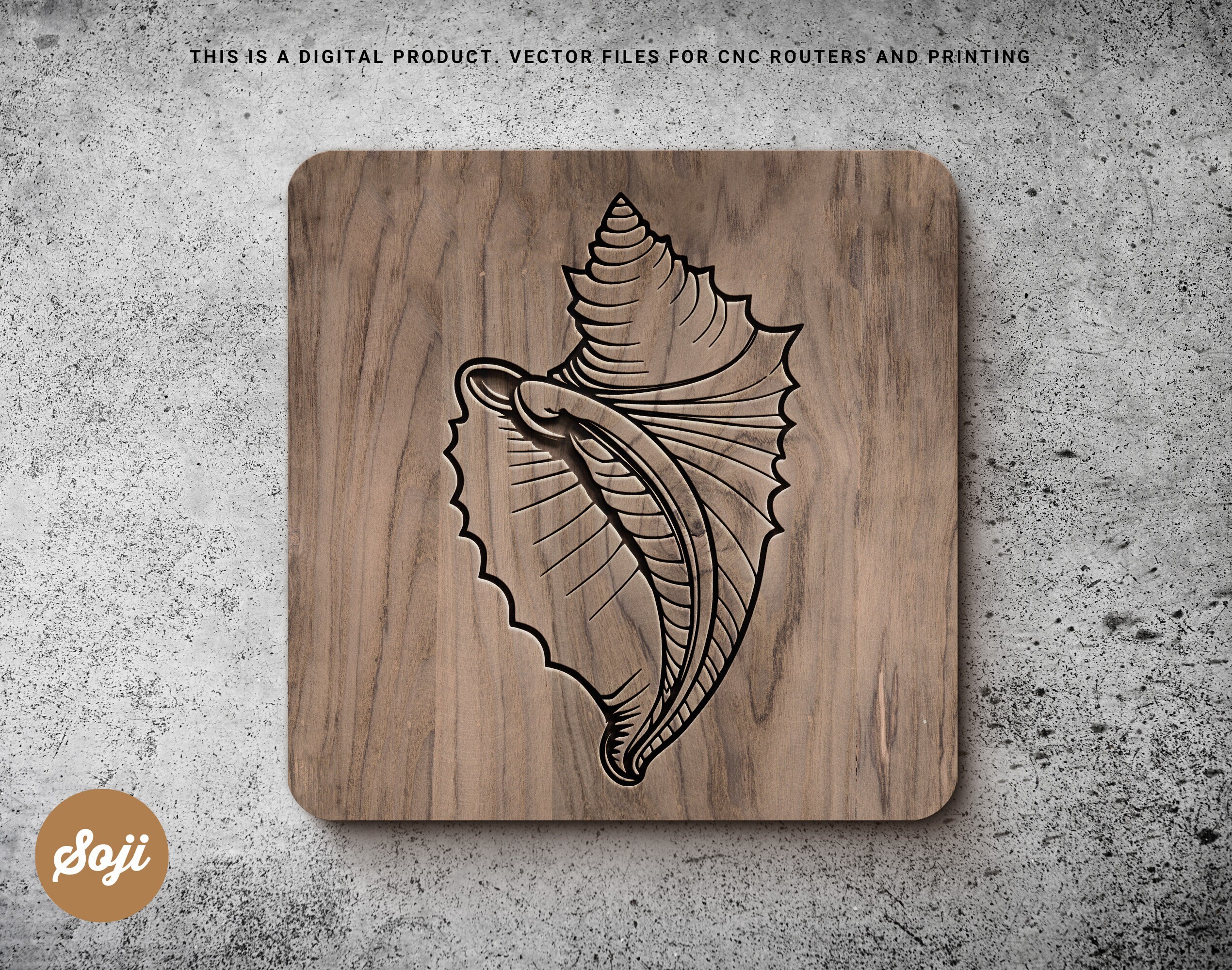 Sea Shell Svg Laser Cut Files Dxf File for Plasma Seashells Cricut Svg ...