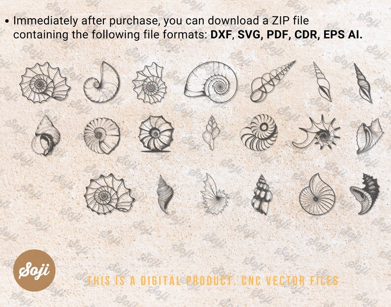Seashells Svg Bundle Laser Cut Files Sea Shell Dxf File Cricut Files ...