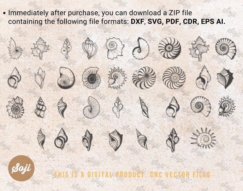 Seashells Svg Bundle Sea Shell Dxf File Sea Shells Svg Bundle Cnc ...