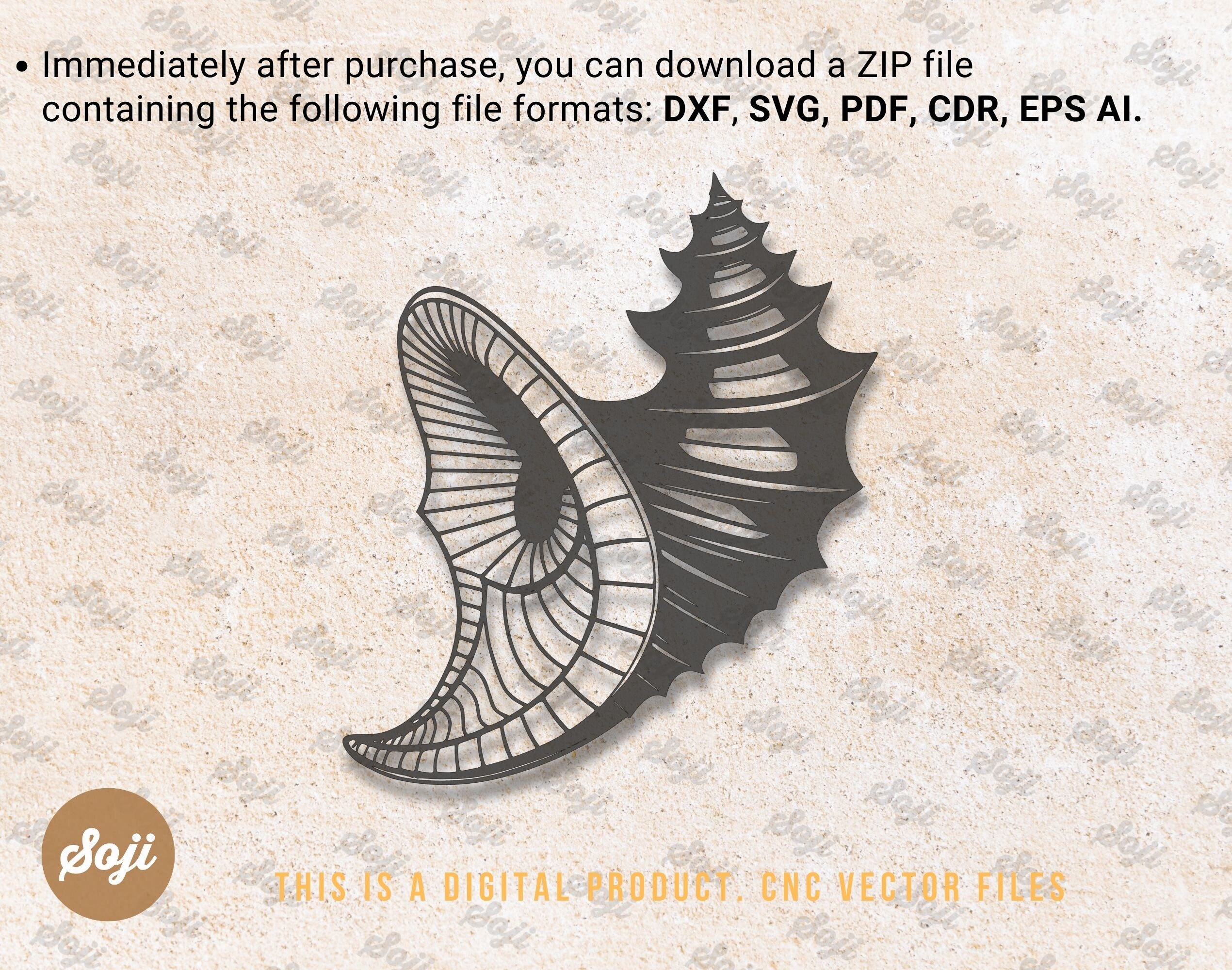 Sea Shell Svg Laser Cut Files Dxf File for Plasma Sea Shells Cricut Svg ...