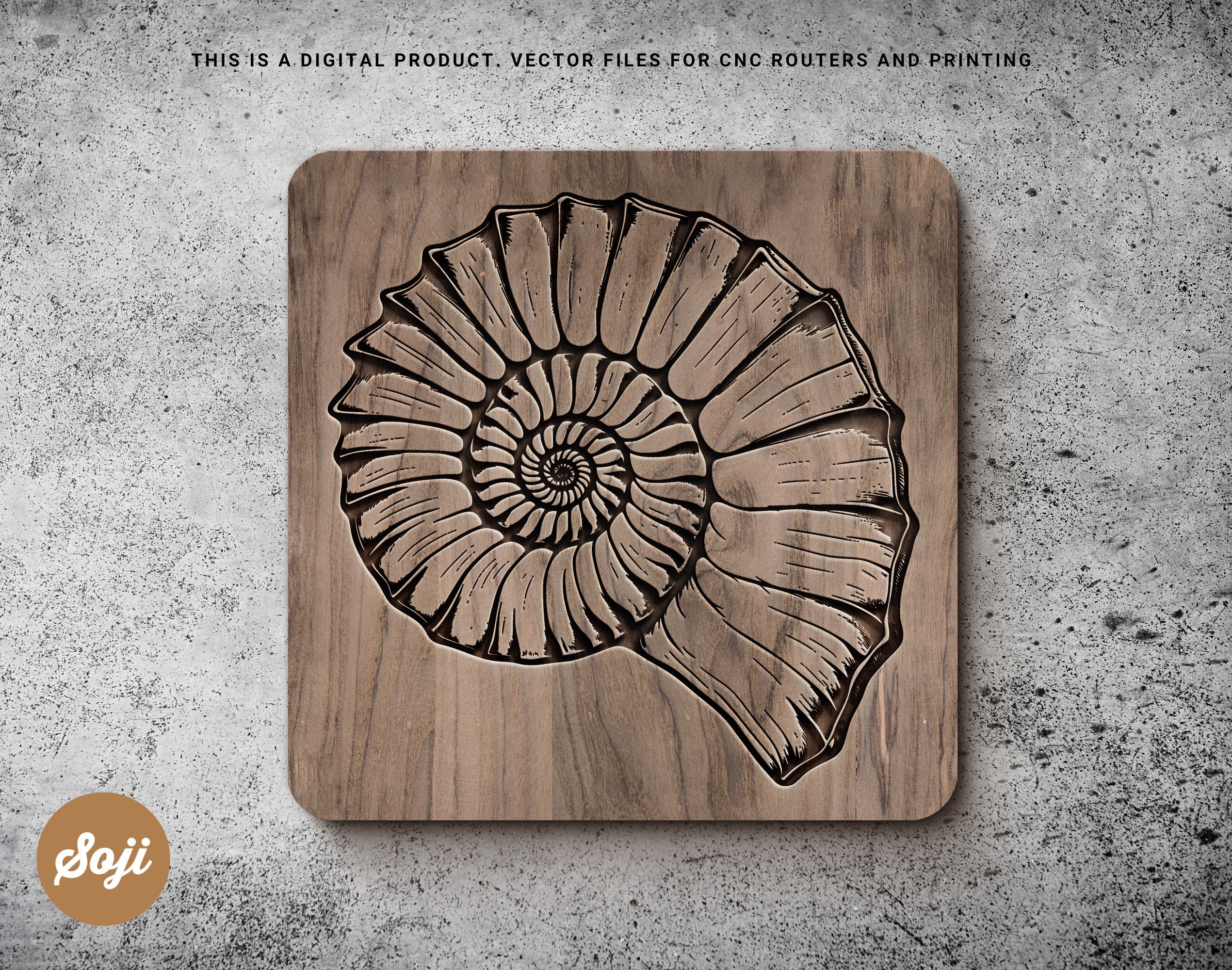 Seashells Svg Bundle Sea Shell Dxf File Sea Shells Svg Bundle Cnc ...