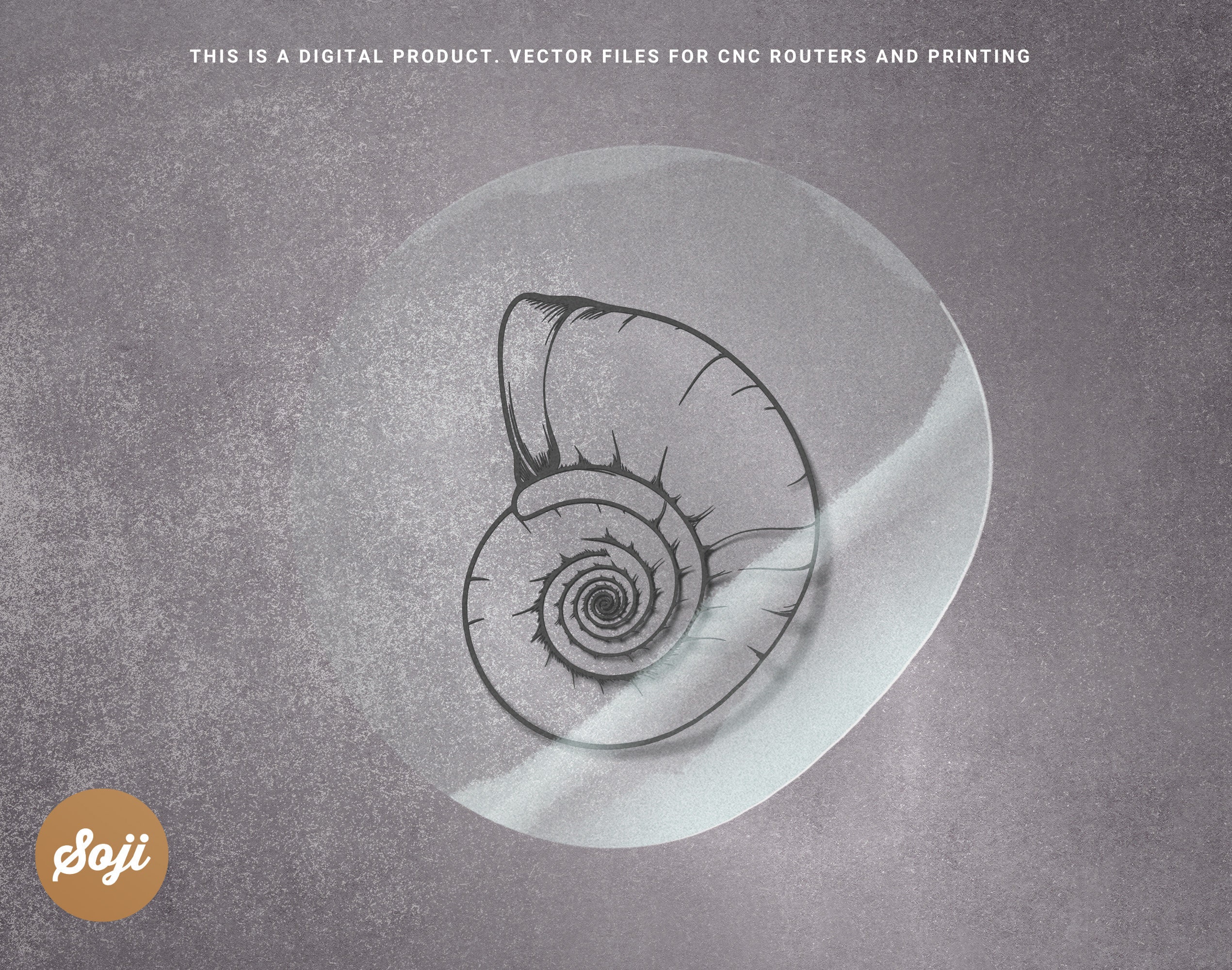 Sea Shell Svg Laser Cut Files Dxf File for Plasma Sea Shells Cricut Svg ...