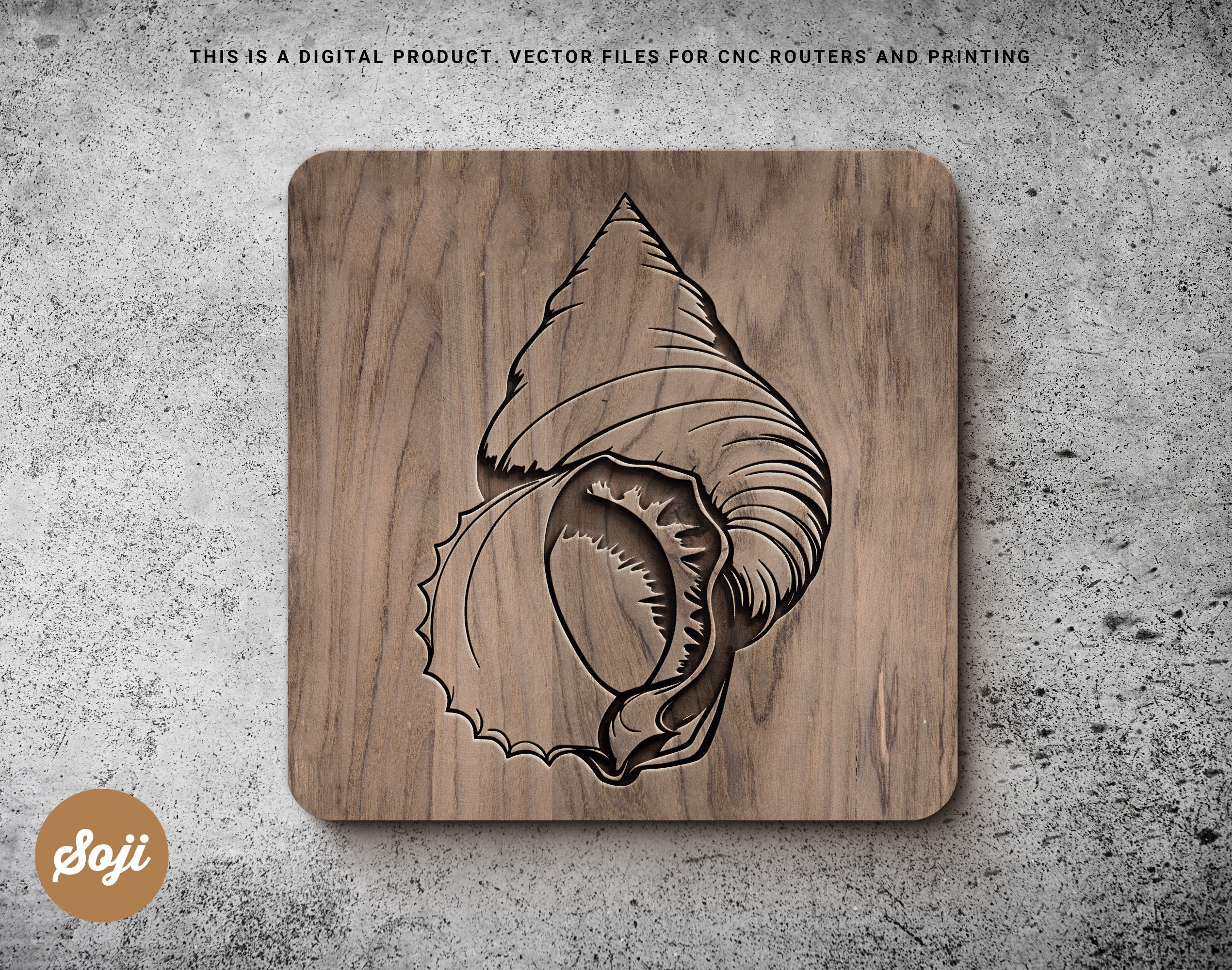 Sea Shell Svg Laser Cut Files Dxf File for Plasma Sea Shells Cricut Svg ...