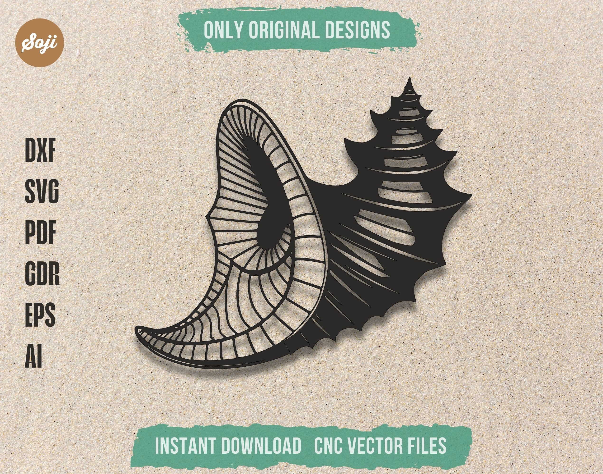 Sea Shell Svg Laser Cut Files Dxf File for Plasma Sea Shells Cricut Svg ...