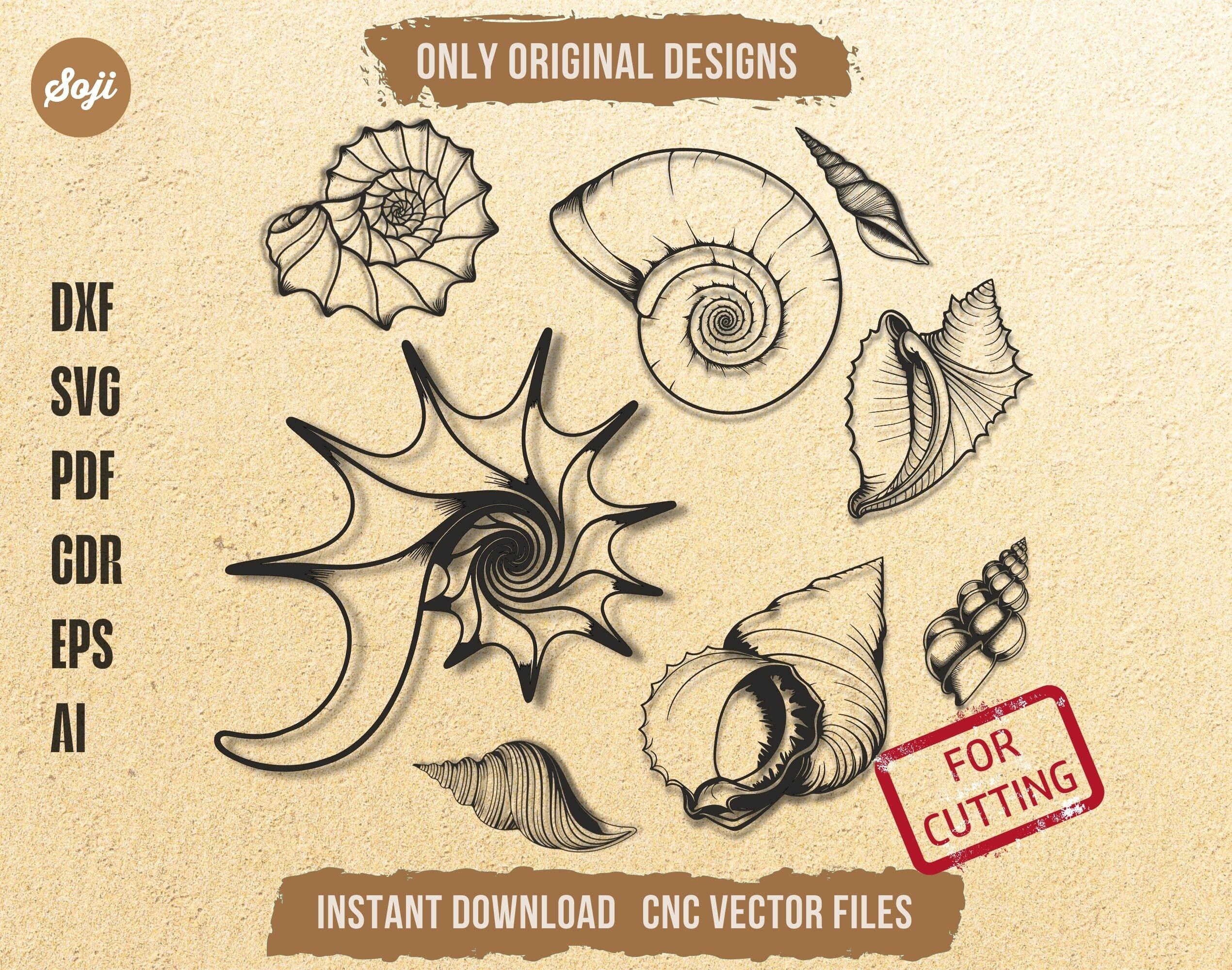 Seashells Svg Bundle Laser Cut Files Sea Shell Dxf File Cricut Files ...