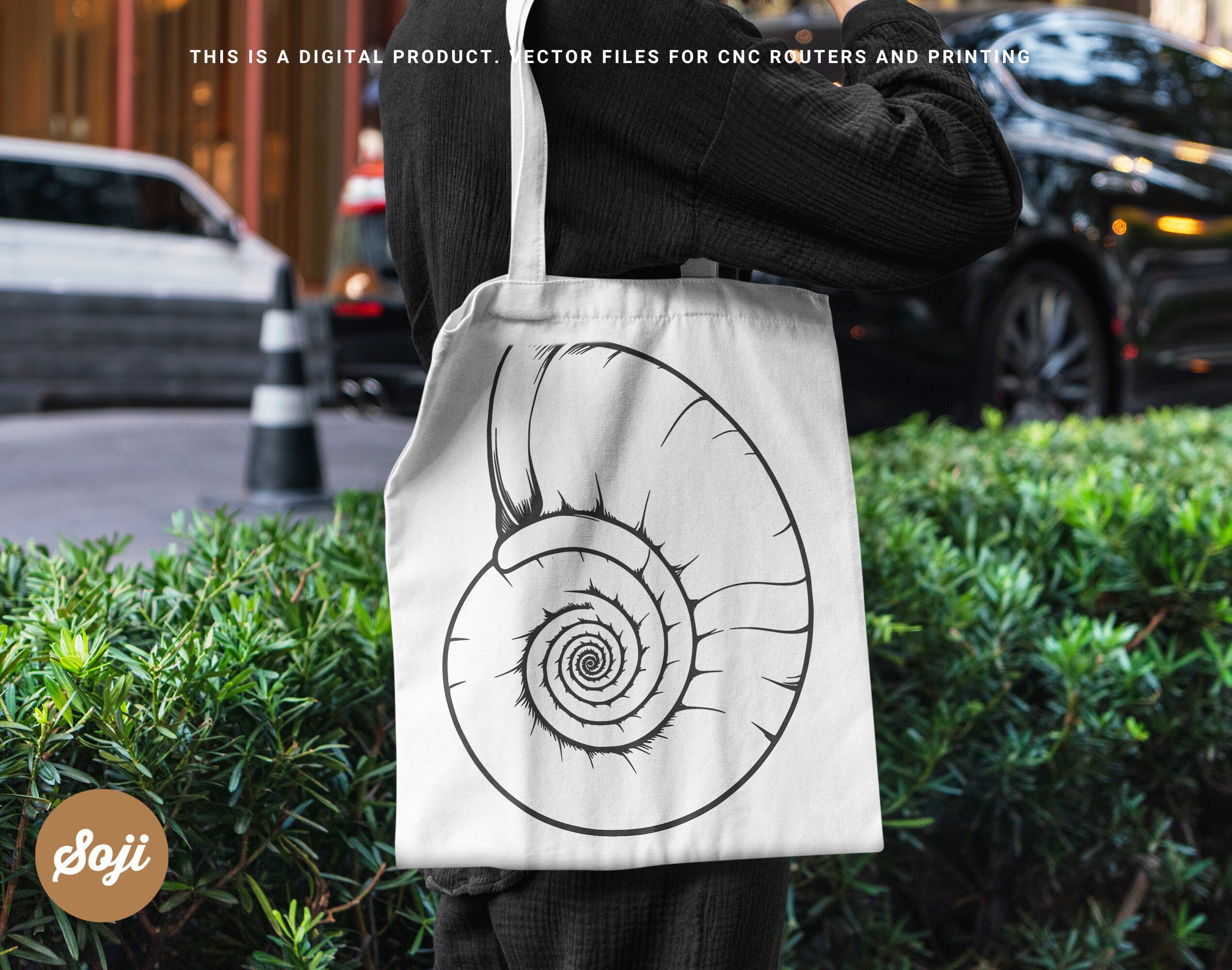 Sea Shell Svg Laser Cut Files Dxf File for Plasma Sea Shells Cricut Svg ...