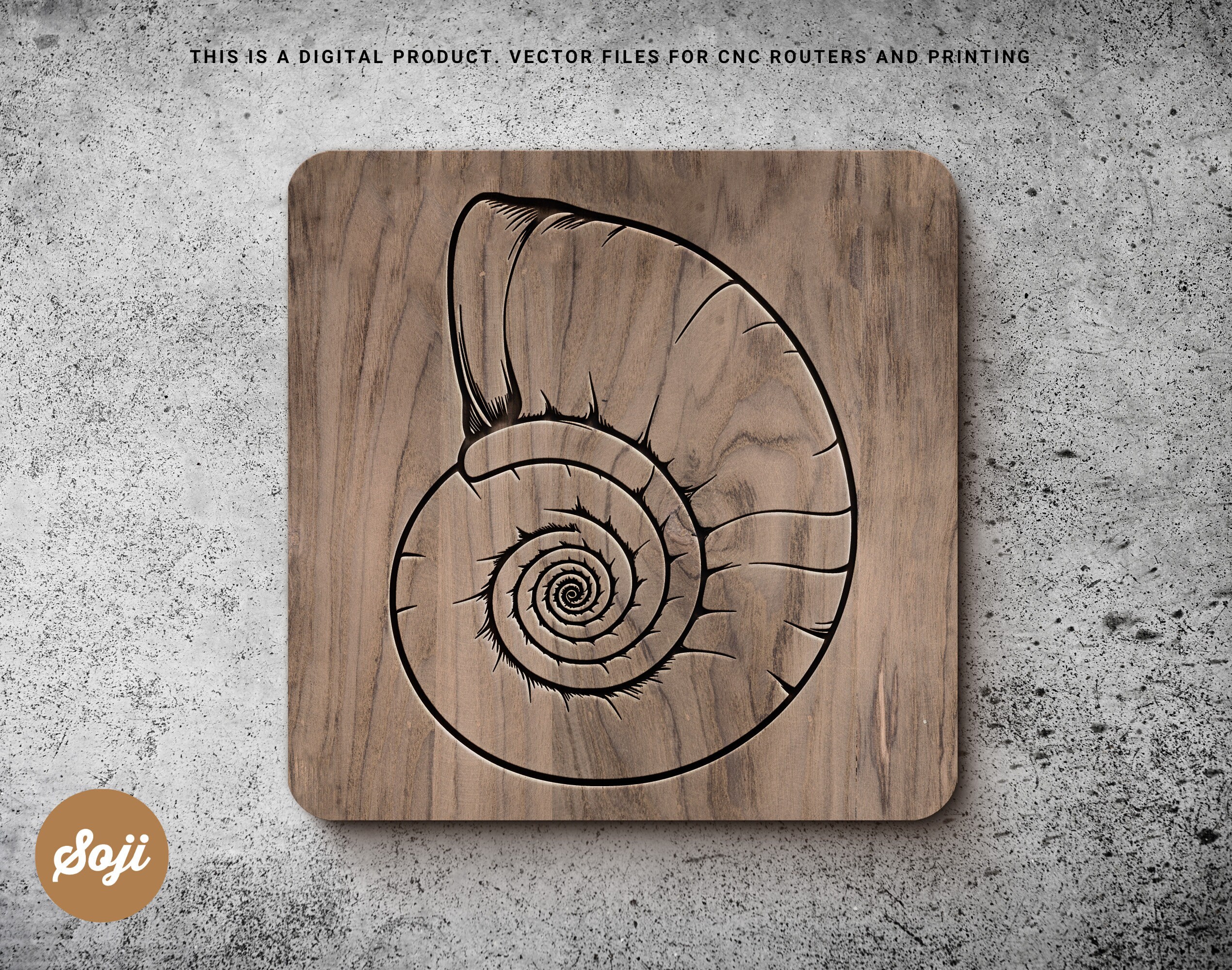 Sea Shell Svg Laser Cut Files Dxf File for Plasma Sea Shells Cricut Svg ...