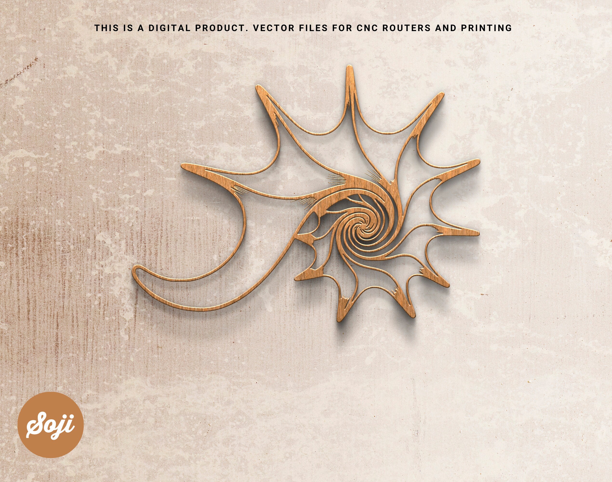 Seashells Svg Bundle Laser Cut Files Sea Shell Dxf File Cricut Files ...